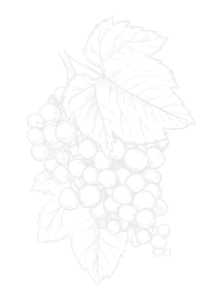 Golden Rise | Bar Restaurant Lounge